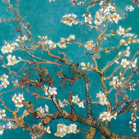 Van Gogh Almond Blossom (12x12) #54773